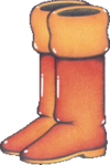 Pegasus Boots - Zelda Wiki