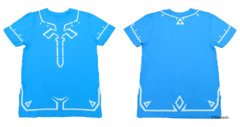 Champion's Tunic - Zelda Wiki