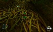 Inside the Deku Tree - Zelda Wiki