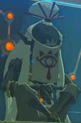 Myahm Agana Shrine - Zelda Wiki