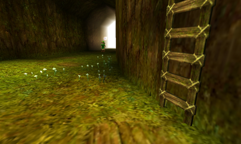 Inside the Deku Tree - Zelda Wiki