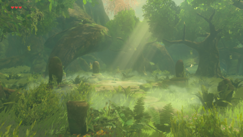 Korok Forest - Zelda Wiki