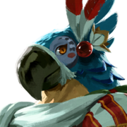Kass - Zelda Wiki