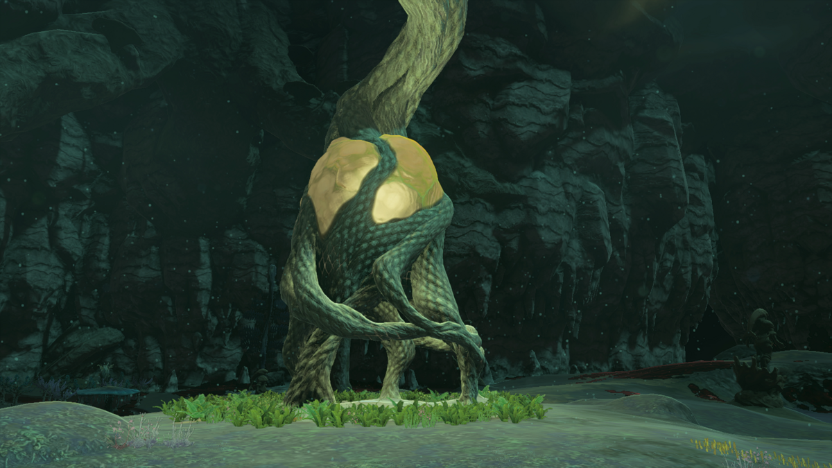 Uasnoj Lightroot - Zelda Wiki