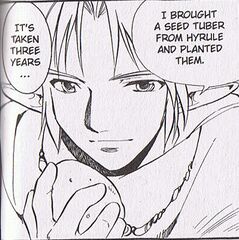 Sir Raven - Zelda Wiki