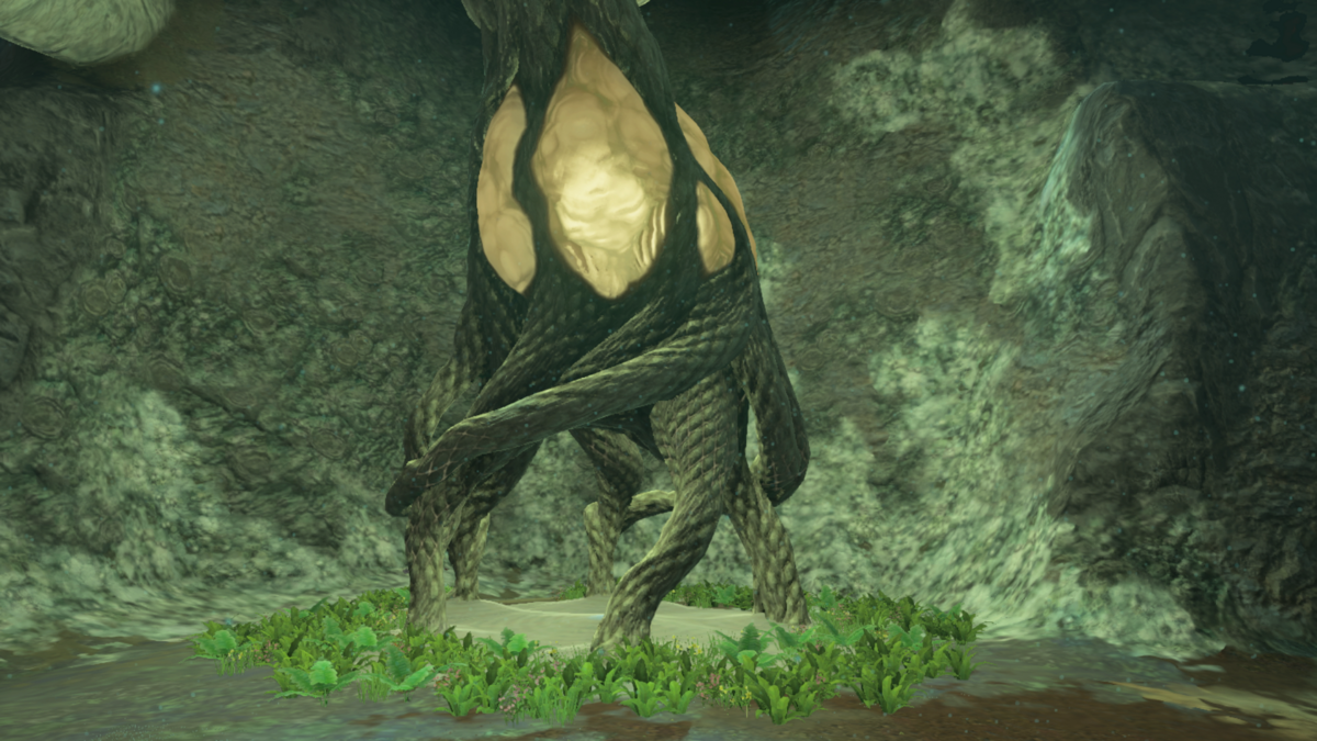 Stamayam Lightroot - Zelda Wiki