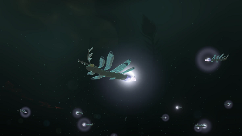 A Deep Firefly - Zelda Wiki