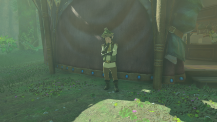 Rodai Lakefront Tunnel - Zelda Wiki