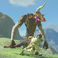 Black Moblin - Zelda Wiki