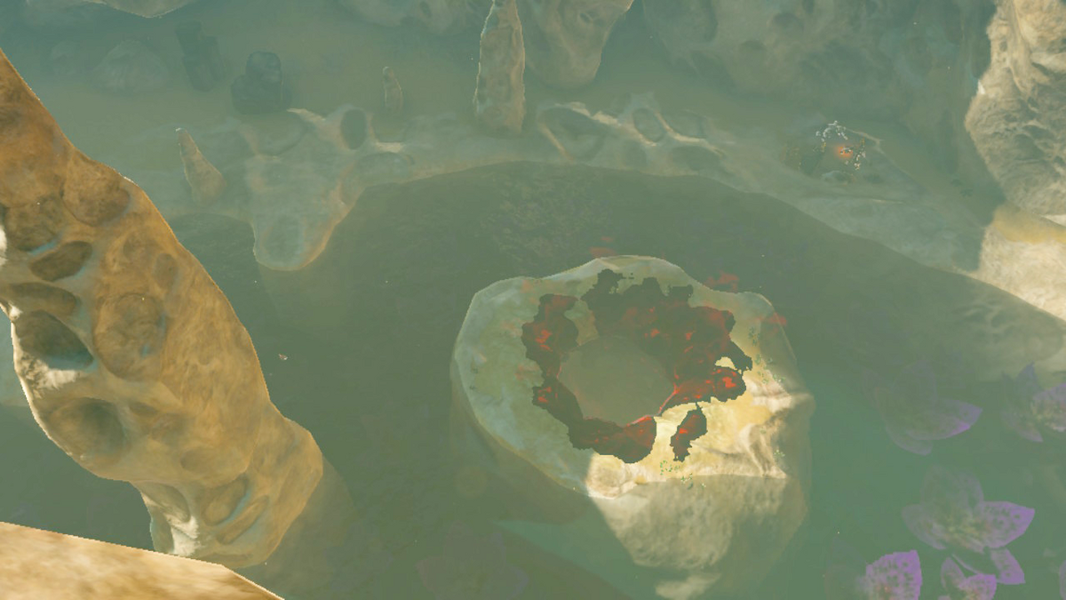 Skull Lake Chasm - Zelda Wiki