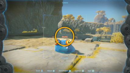 Guidelines:Terminology - Zelda Wiki