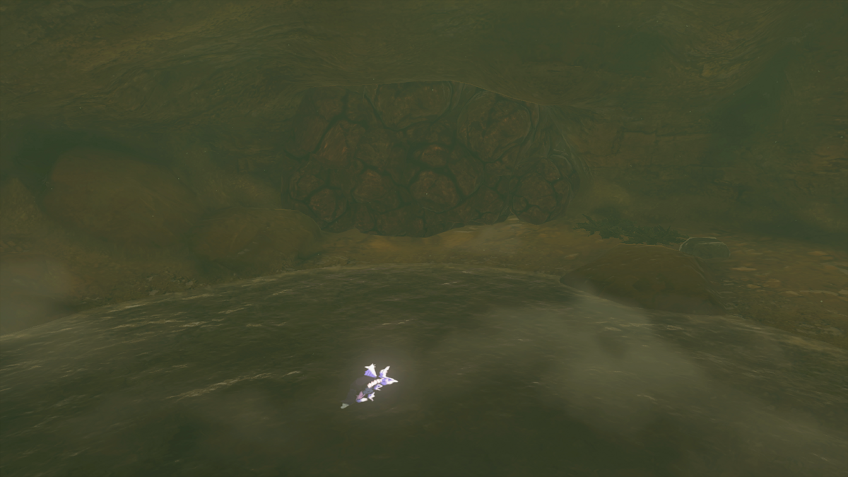 Gerudo Canyon Well - Zelda Wiki