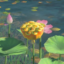 Fleet-Lotus Seeds - Zelda Wiki