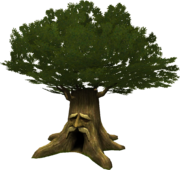 Kokiri Forest - Zelda Wiki