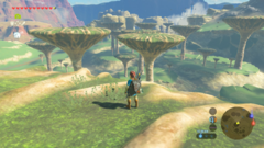 Central Hyrule - Zelda Wiki