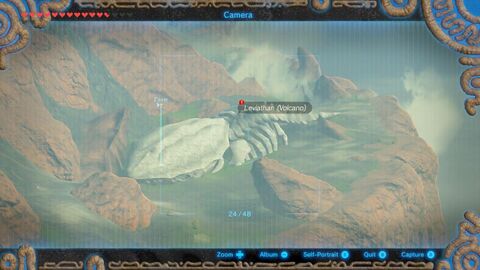 Leviathan Bones (Side Quest) - Zelda Wiki
