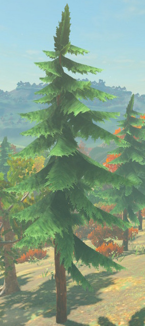 Cedar Tree - Zelda Wiki