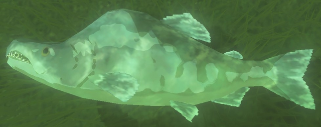 Frozen Hearty Salmon - Zelda Wiki