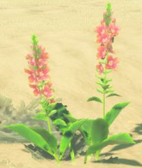 Arbiter's Grounds - Zelda Wiki