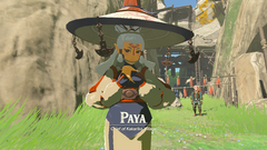 Paya - Zelda Wiki