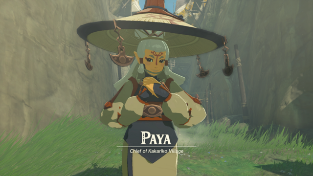 File:TotK Paya Introduction.png - Zelda Wiki