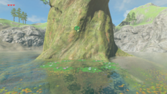 Ancient Tree Stump - Zelda Wiki
