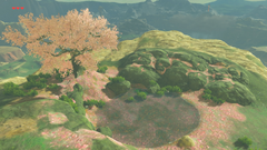 Satori Mountain - Zelda Wiki