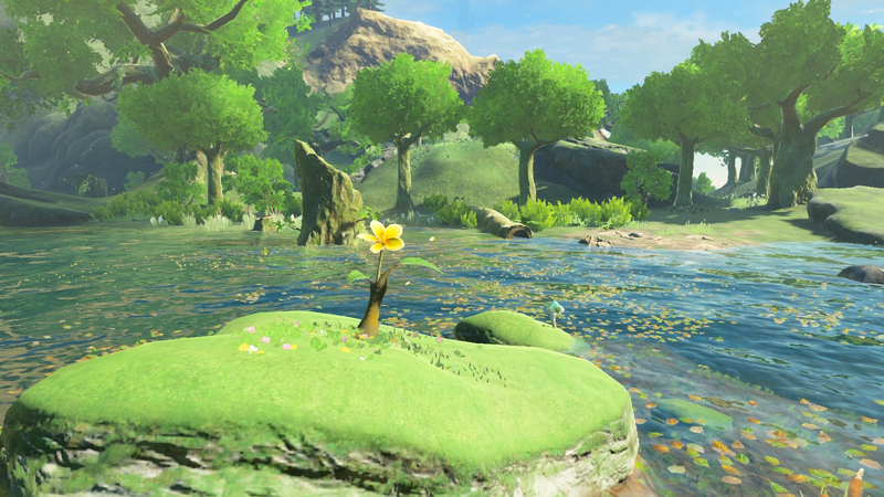 Flower Trail - Zelda Wiki