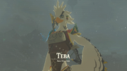 Teba - Zelda Wiki