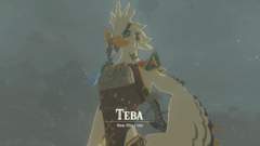 Teba - Zelda Wiki