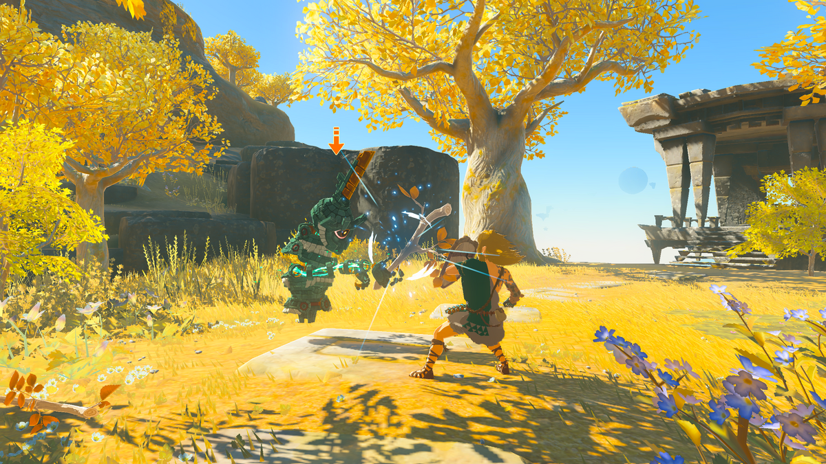 Blocking - Zelda Wiki