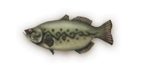 Hyrule Bass - Zelda Wiki
