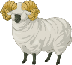 Highland Sheep - Zelda Wiki