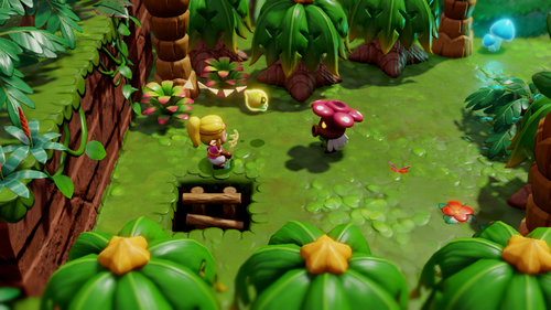A Rift in the Faron Wetlands - Zelda Wiki