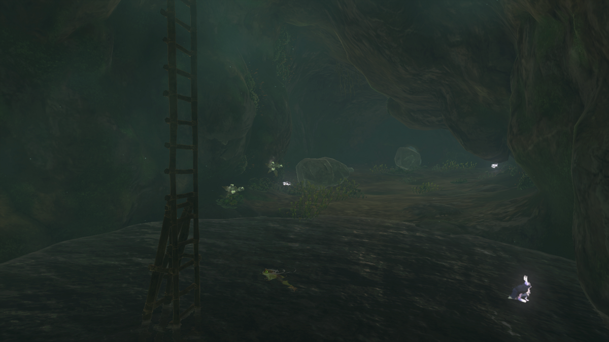 Tabantha Bridge Stable Well - Zelda Wiki