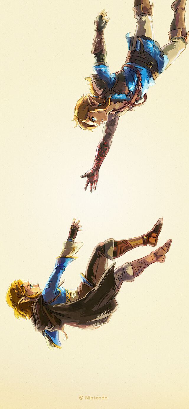 File:TotK Zelda Falling Artwork.jpg - Zelda Wiki