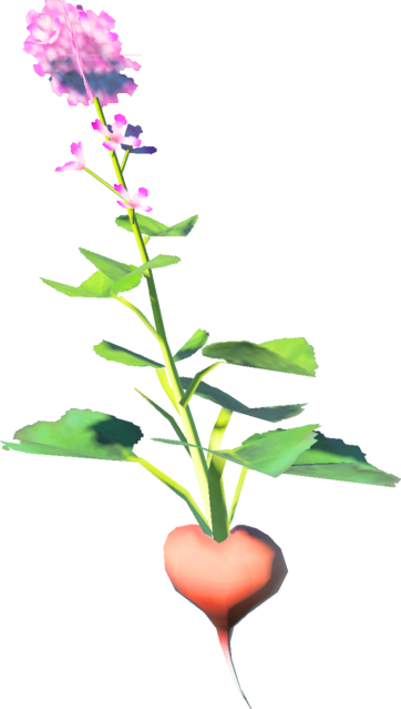Hearty Radish - Zelda Wiki