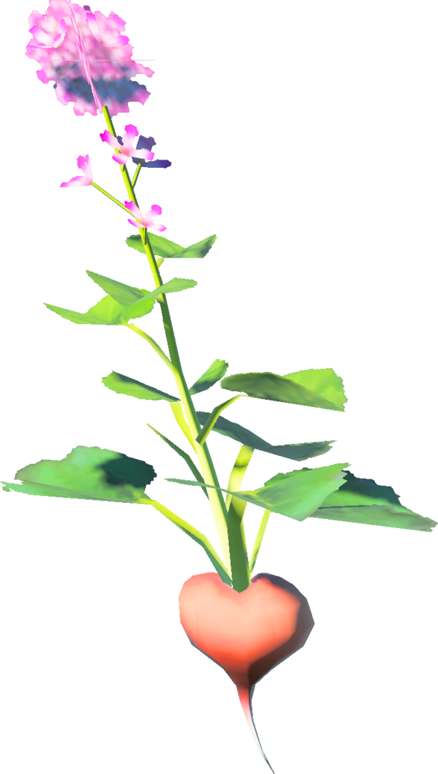 Hearty Radish - Zelda Wiki