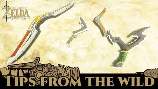Tips from the Wild - Zelda Wiki