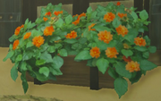 Flower - Zelda Wiki