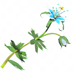 Silent Princess - Zelda Wiki