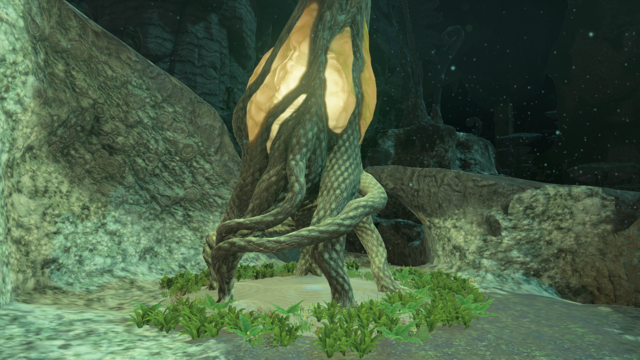 Kawumoro Lightroot - Zelda Wiki