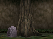 Swamp Spider House - Zelda Wiki