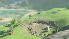 Highland Sheep - Zelda Wiki