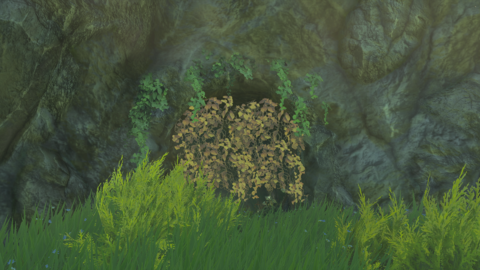 Shrine of Resurrection - Zelda Wiki