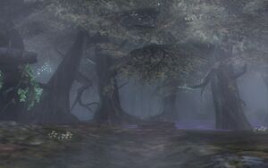 Faron Woods - Zelda Wiki