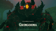 Grimgohma - Zelda Wiki