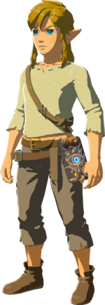 Well-Worn Outfit - Zelda Wiki