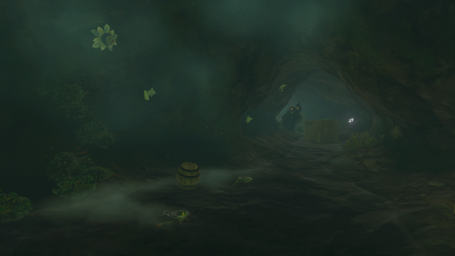 Wetland Stable South Well - Zelda Wiki