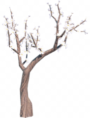 Plum Tree - Zelda Wiki
